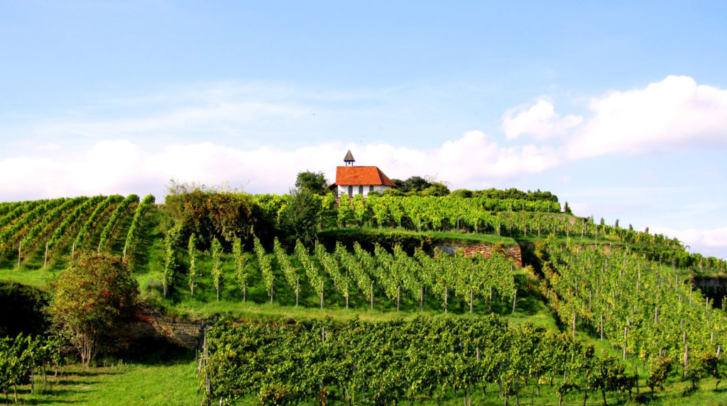 EuroVelo cycling routes, the complete guide | Girolibero